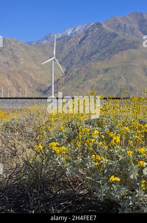 The immense San Gorgonio Pass wind farm, near Palm Springs CA Stock ...