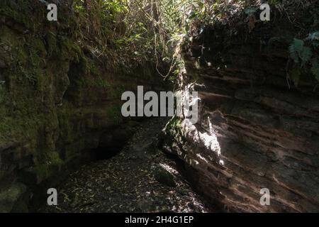 Onepoto Caves near Lake Waikaremoana. New Zealand Stock Photo - Alamy