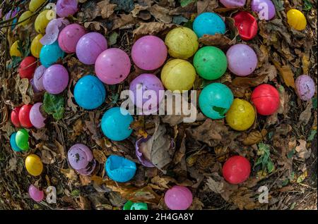 Discarded damaged coloured plastic balls in a forest setting Stock ...