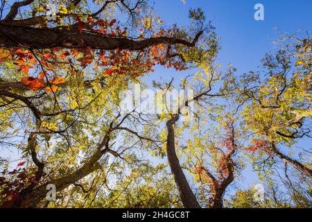 Sunny view of the landscape inside the Boiling Springs State Park at ...