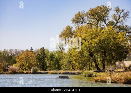 Sunny view of the landscape inside the Boiling Springs State Park at ...
