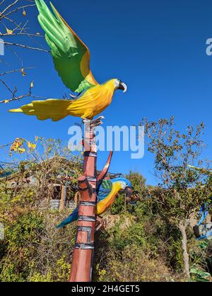 Oklahoma, OCT 29, 2021 - Haunt the Zoo Halloween decoration in the OKC ...