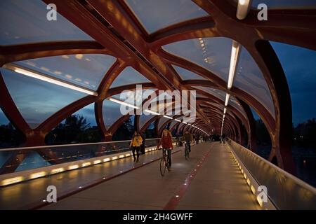 Pedestrians and cyclist Peace Bridge over the Bow River, Calgary ...