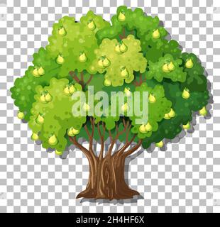 Pear tree on transparent background illustration Stock Vector Image ...