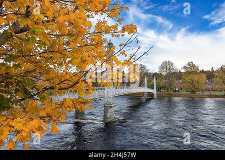 INVERNESS SCOTLAND AUTUMN TREES AND COLOURFUL AUTUMNAL MAPLE LEAVES AND ...
