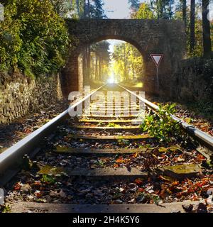 Railroad tracks lead through a natural landscape Stock Photo - Alamy