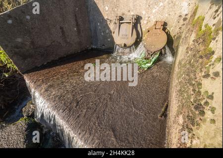 Sewage fungus growing as a result of untreated sewage being discharged ...