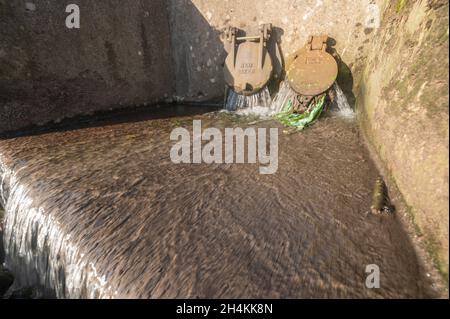 Sewage fungus growing as a result of untreated sewage being discharged ...