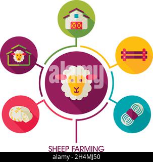 Sheep farming infographic template. Ram, ewe, lamb family. Flat design ...