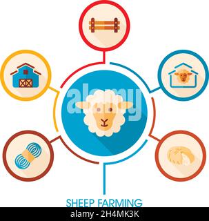 Sheep farming infographic template. Ram, ewe, lamb family. Flat design ...