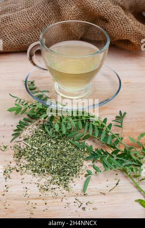 Cancer bush tea, traditional herbal medicine made from Sutherlandia ...