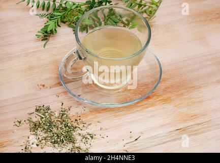 Cancer bush tea, traditional herbal medicine made from Sutherlandia ...