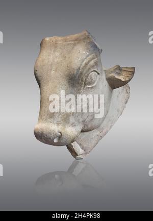 Egyptian statue sculpture of a cows head, the goddess Hathor, circa ...