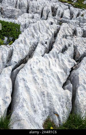 Karst phenomena. crevasses. Rectilinear grooves. Sedimentary limestone ...