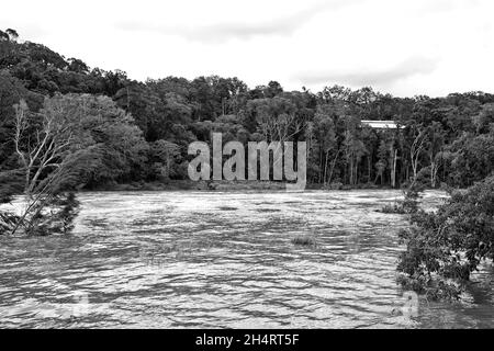 Flooded Barron River near Kuranda Stock Photo - Alamy