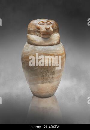 Ancient Egyptian canopic jar depicting the baboon Hapi, circa 525 BC ...