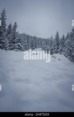 A vertical shot of the Valley of the Five lakes, Jasper National Park ...