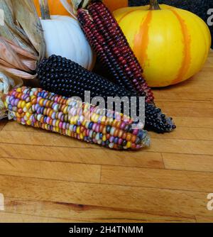 Multicolored flint corn and assorted white, orange, and yellow pumpkins ...