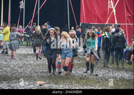 Festival goers at Parklife Weekender - Manchester Stock Photo - Alamy