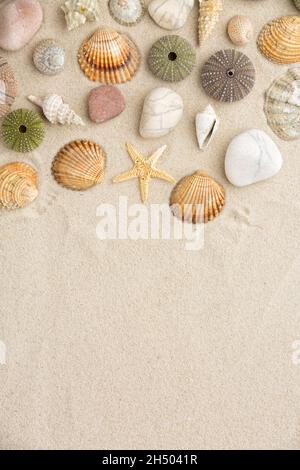 Sea shells and star fish on the sand Stock Photo - Alamy