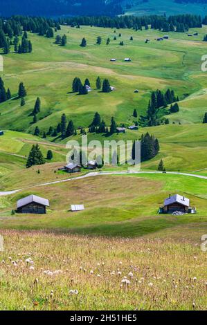 Panoramic view of Seiser Alm with meadows and mountain hut during the ...