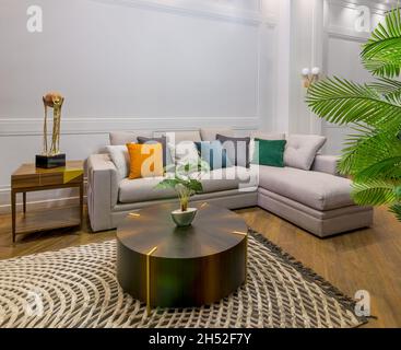 Comfortable couch placed near rug in light spacious living room with ...