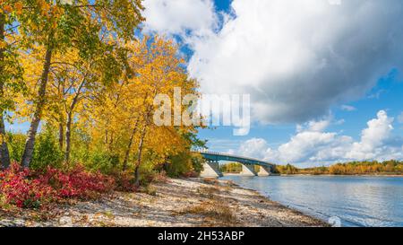 Fall foliage color at Grand Rapids, Manitoba. Canada Stock Photo - Alamy