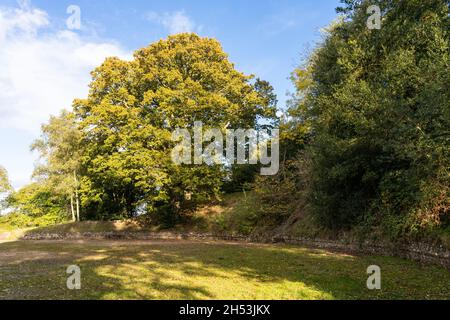 The Roman amphitheatre, Silchester, Hampshire, UK Stock Photo - Alamy