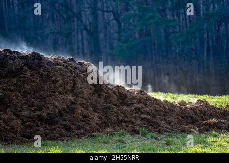 A pile of cow dung as a symbol of methane pollution of the atmosphere ...
