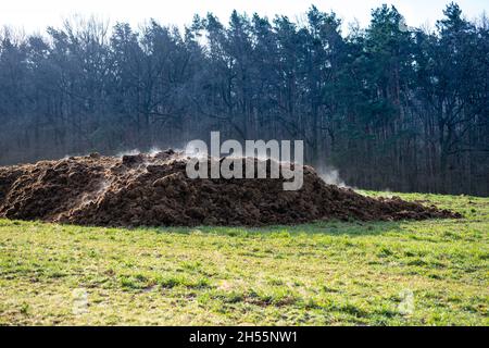 A pile of cow dung as a symbol of methane pollution of the atmosphere ...