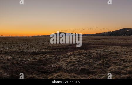 Sunset over the Solway at Mersehead RSPB Reserve, Dumfries and Galloway ...