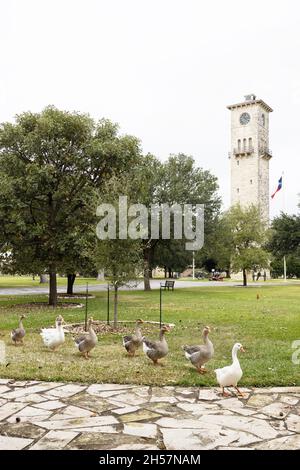 The Quadrangle and Tower at Fort Sam Houston in San Antonio, Texas, is ...