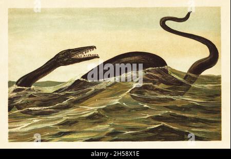 Prehistoric reptiles, illustration Stock Photo - Alamy