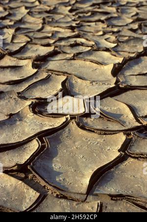background - cracked dry sun-dried clay crust in a waterless desert ...