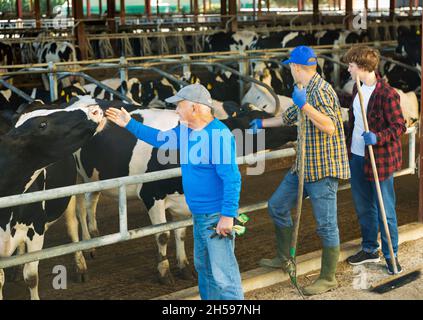 Milk farm workers at cow stalls Stock Photo - Alamy