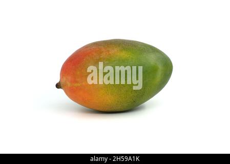 One ripe and nice colored mango fruit isolated on a white background ...