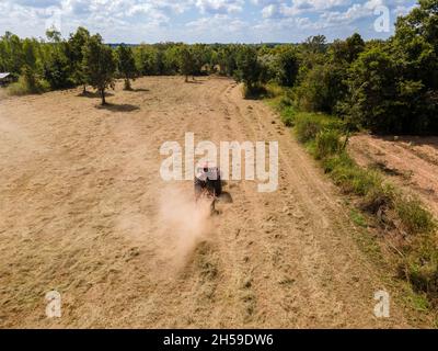 Aerial view of pangola grass in field. animal feed Stock Photo - Alamy