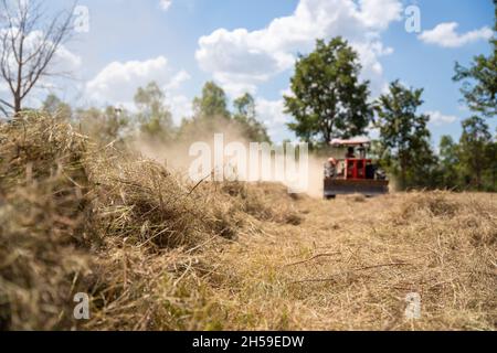 Agriculture tractor with mower the pangola grass at a commercial turf ...