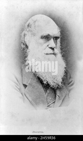 Vintage photograph circa 1880 of Charles Darwin the famous naturalist ...