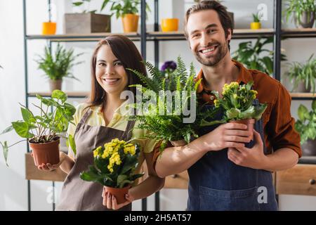 Positive florists in aprons holding plants near laptop in flower shop ...