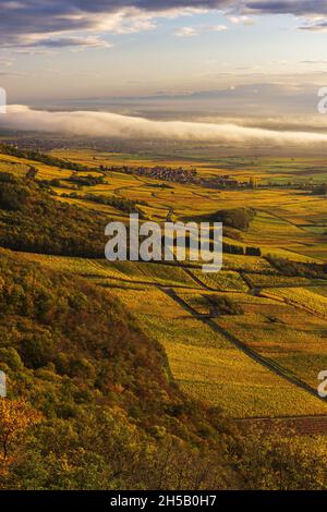 FRANCE. BAS-RHIN (67). SCHERWILLER. ORTENBOURG CASTLE Stock Photo - Alamy