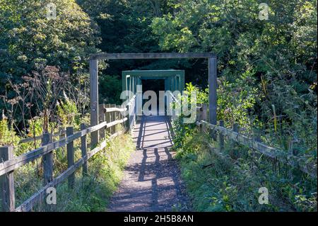 The butterfly bridge in Derwent Country Park, Winlaton Mill, North ...
