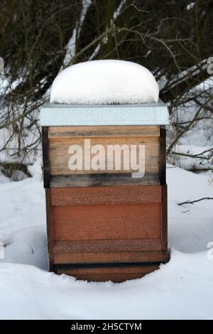 Apiary in the snow. Snow-covered hives after a snowfall. Snowdrifts on ...