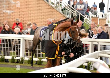 Taste of the atmosphere and thrill of a day at the races with the crowd ...