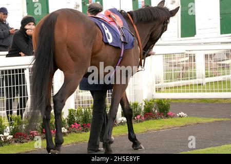 Taste of the atmosphere and thrill of a day at the races with the crowd ...