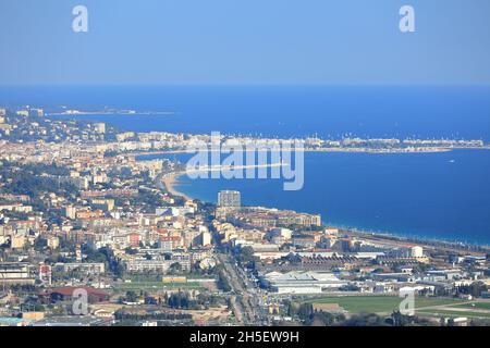 Aerial view of Cannes with mimosa tree, Alpes-Maritimes, 06, French ...