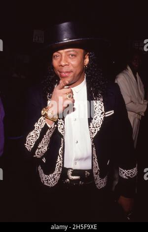 Rick James Credit: Ralph Dominguez/MediaPunch Stock Photo - Alamy
