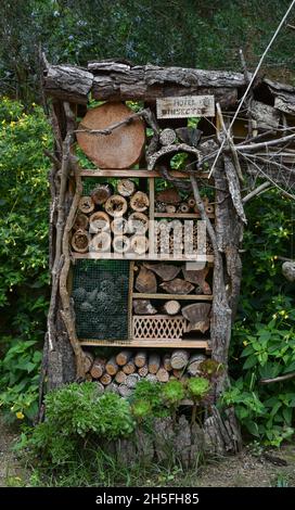 Vertical shot of an insect house in a park Stock Photo - Alamy