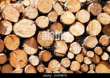Bunch of logs stacked up, Stack of tree trunks, Stack of cut trees ...
