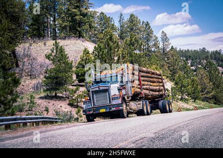 Logging truck on log haul road Alberta Canada Stock Photo - Alamy